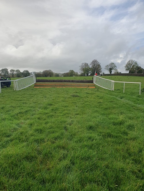 Irish Point to Point